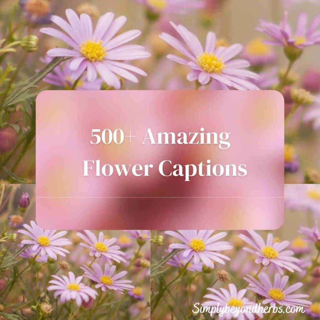 500+ Amazing Flower Captions for Instagram to Bloom - The Sleeper Must ...