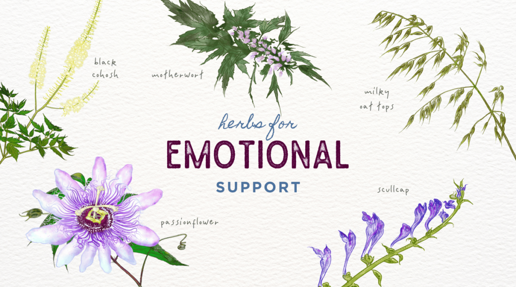 Embrace Emotional Wellness: 5 Herbs to Keep You Grounded - The Sleeper ...