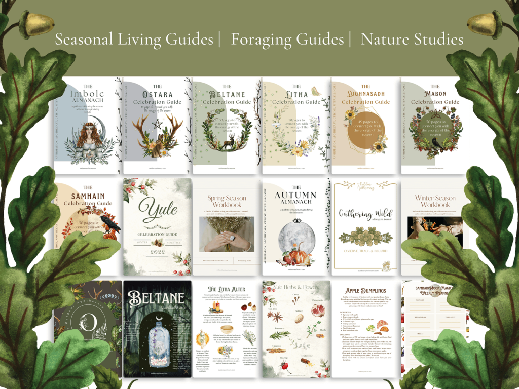 Discover The Magic Of Seasonal Living With Wild Seasons Workbooks - The ...